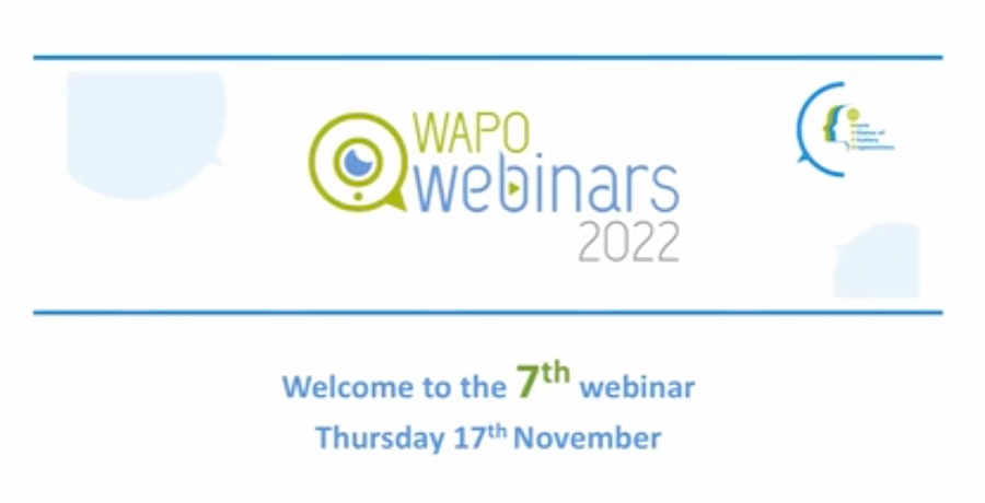 Webinar 7 – J.G. Beun - Labor and Chronic Illness (ES) - WAPO